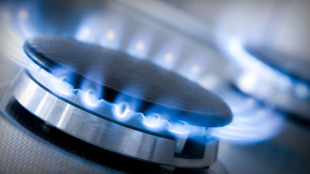 Interview mit Herrn Prof. Dr. Rainer Lindner, Vorstandsvorsitzender der ...