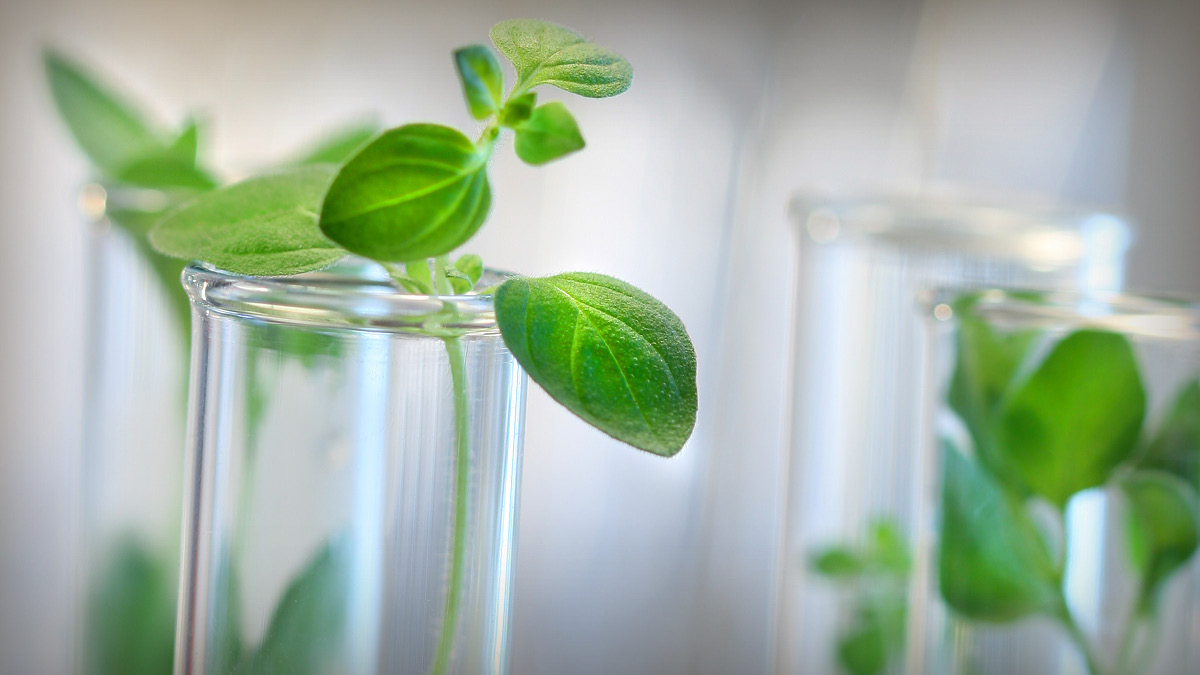 Alle Events - Handelsblatt Live